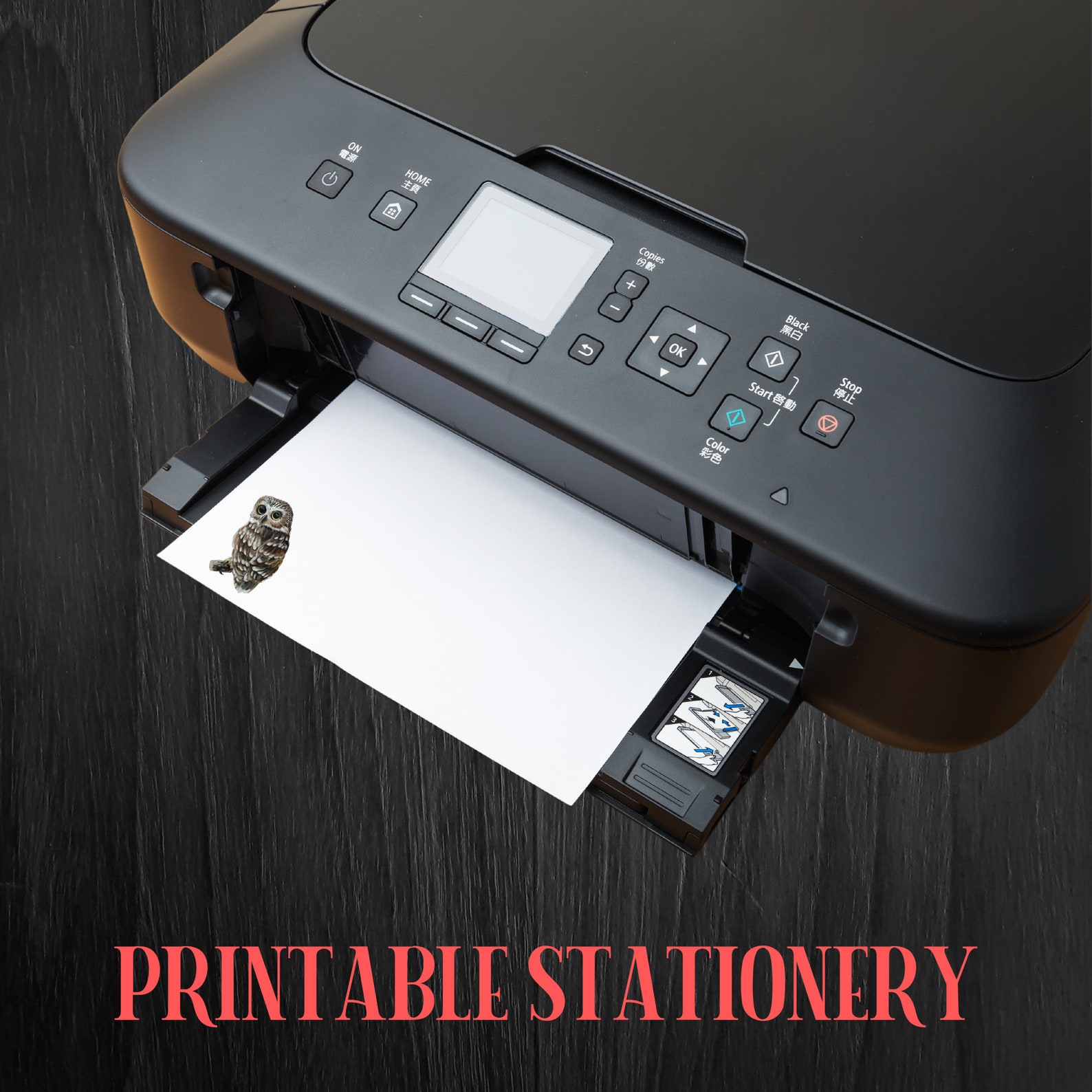 Little Owl Printable Writing Sheets | Writing Paper | Stationery | 8.5 ...