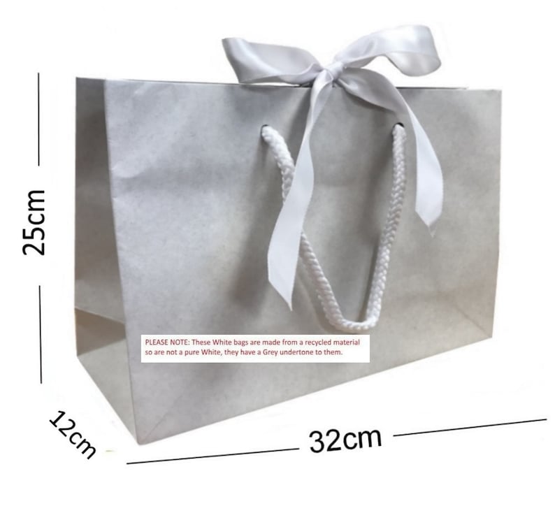 Medium Ribbon Tie Party Gift Bags With Rope Handles - Birthday ...