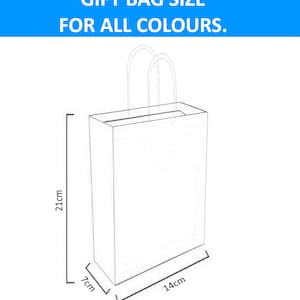 Special Birthday AGE Party Gift Bags Loot Favours HB - 21st 30th 40th ...