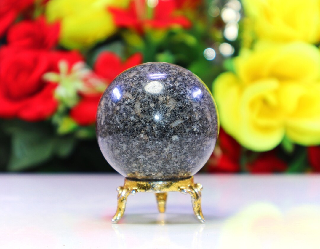 Crinoid Fossil Sphere Sphere Marine Fossil Sphere HQ Polished Sphere ...