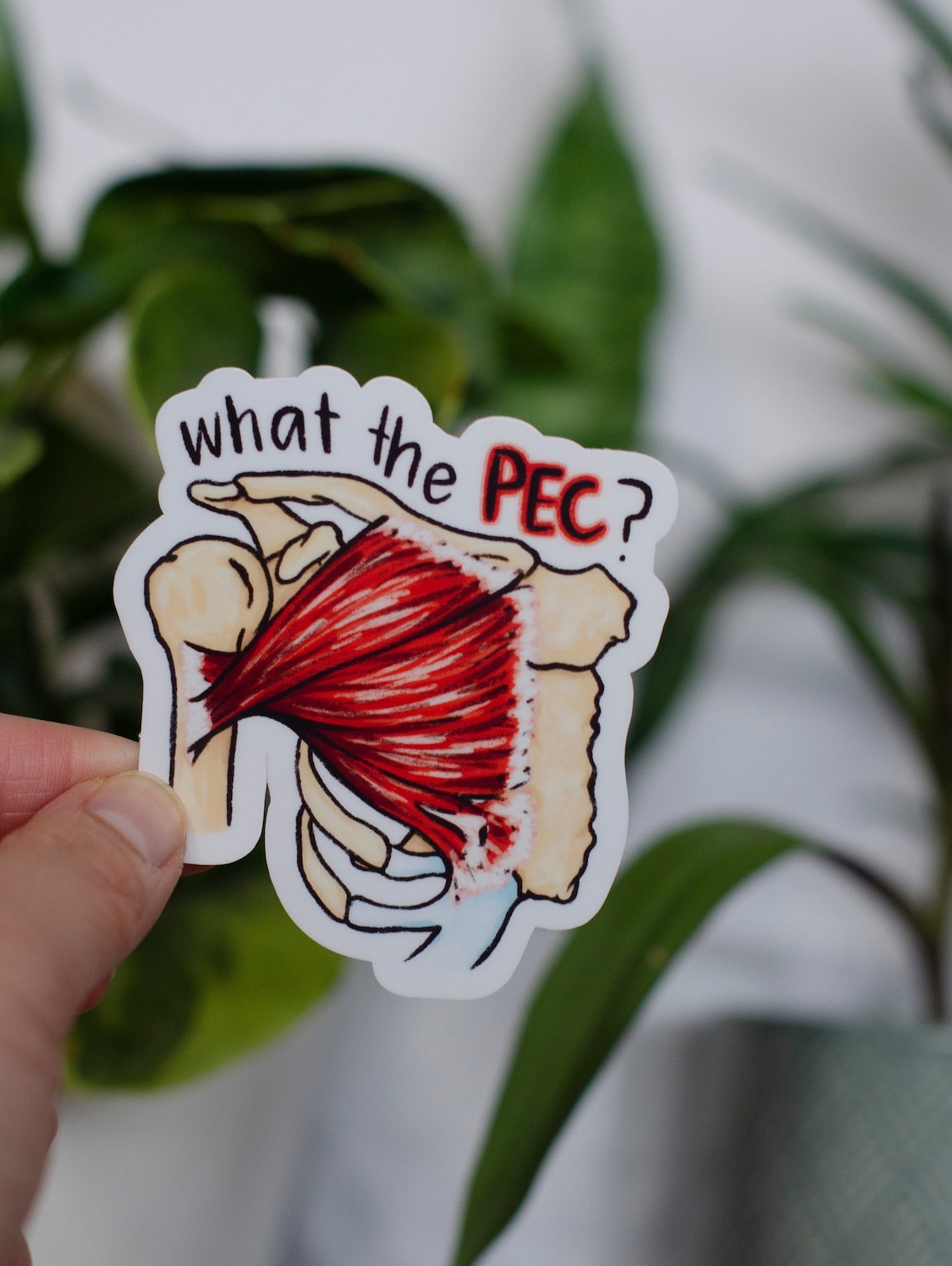 What the PEC Glossy Vinyl Sticker for Water Bottles Laptops | Etsy