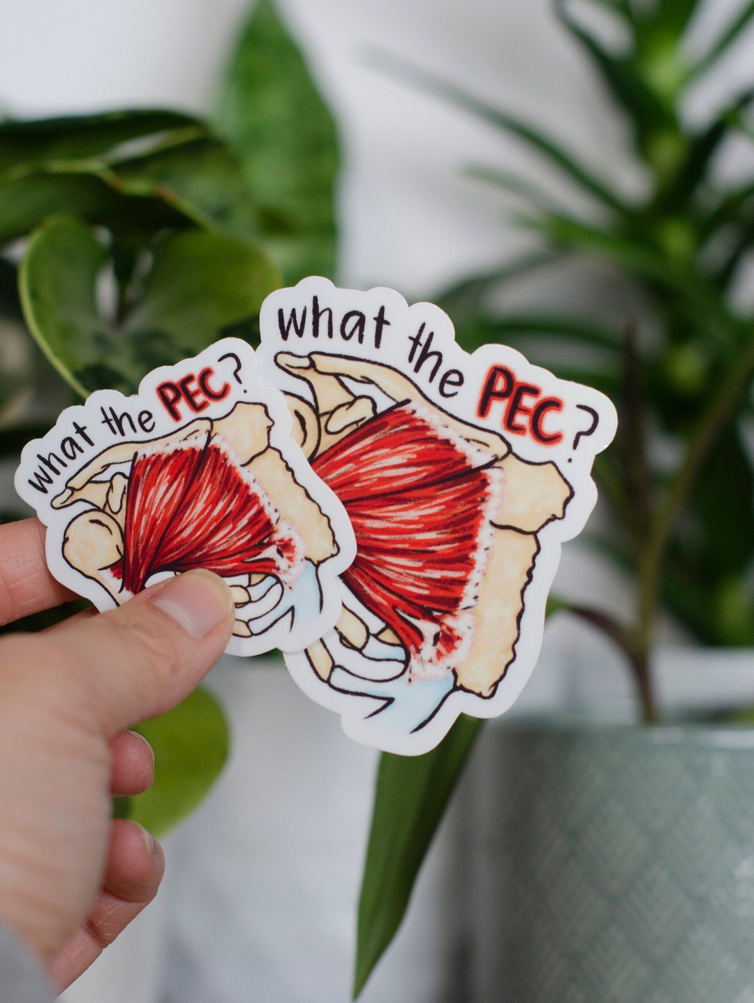 What the PEC? Glossy Vinyl Sticker for Water Bottles, Laptops, Cars ...