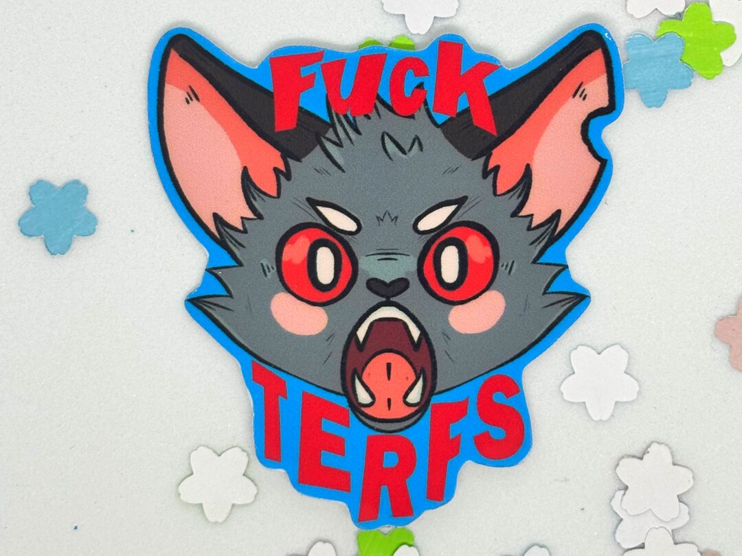 F TERFS Vinyl Sticker Trans Gay Pride Sticker Lgbtq Sticker - Etsy