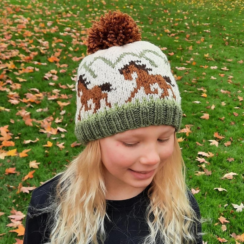 Sweatshirt Fair Isle Design - Etsy