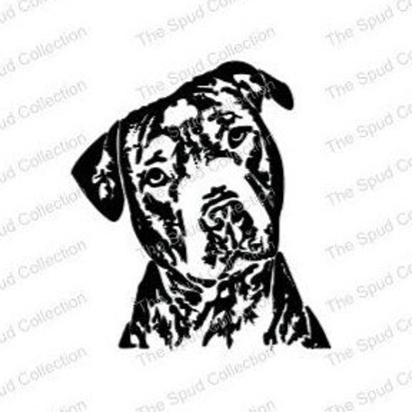Staffy Svg - Etsy