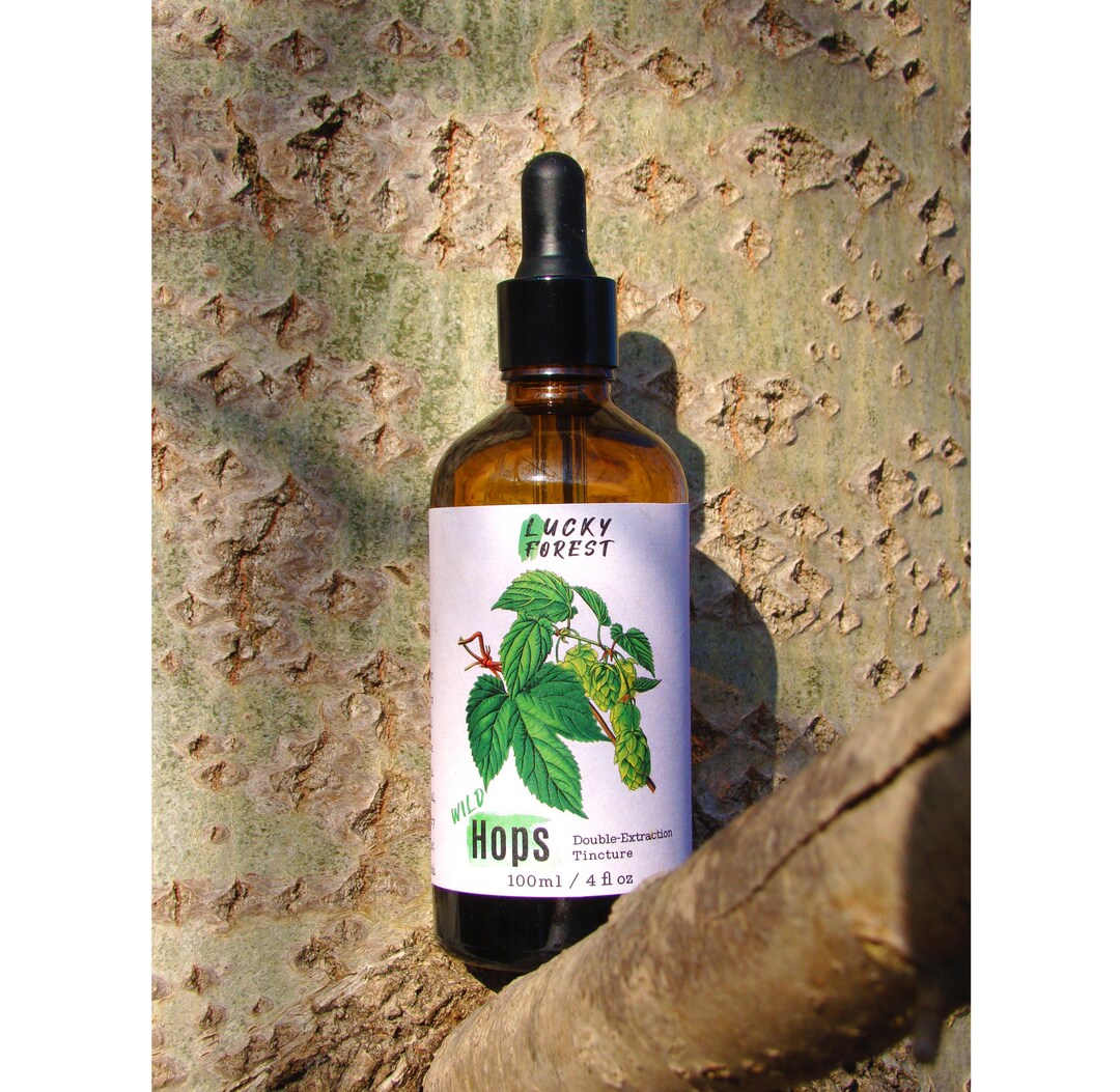 Wild Hops Tincture 100ml (4 Fl Oz) Double-extraction - Small Batch *H12 ...