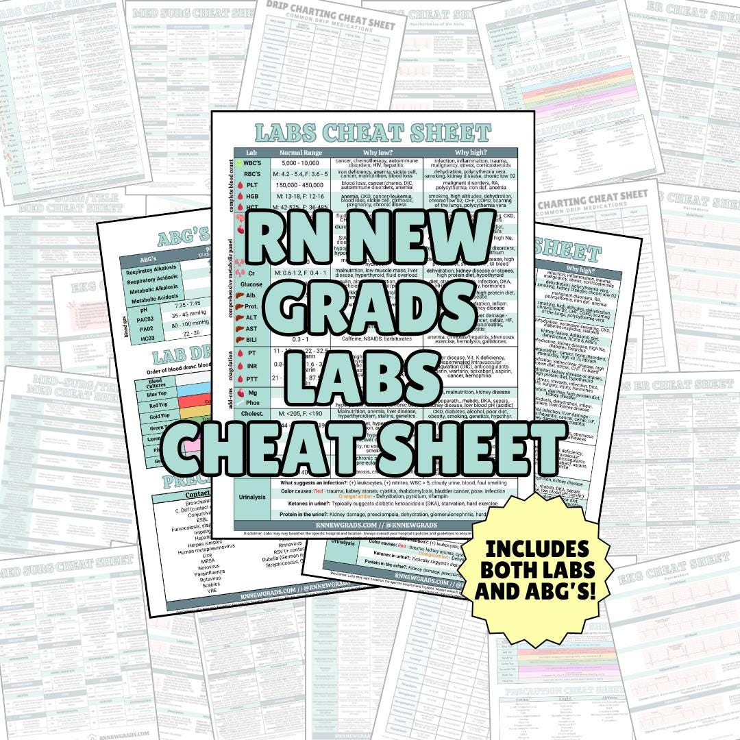 Nursing Labs & Abg's Cheat Sheet - Etsy