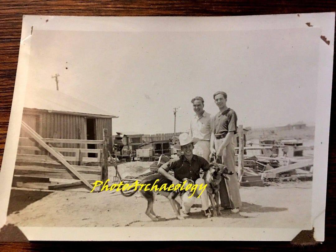 Antique Photograph Rancher With His Dogs in New Mexico - Etsy