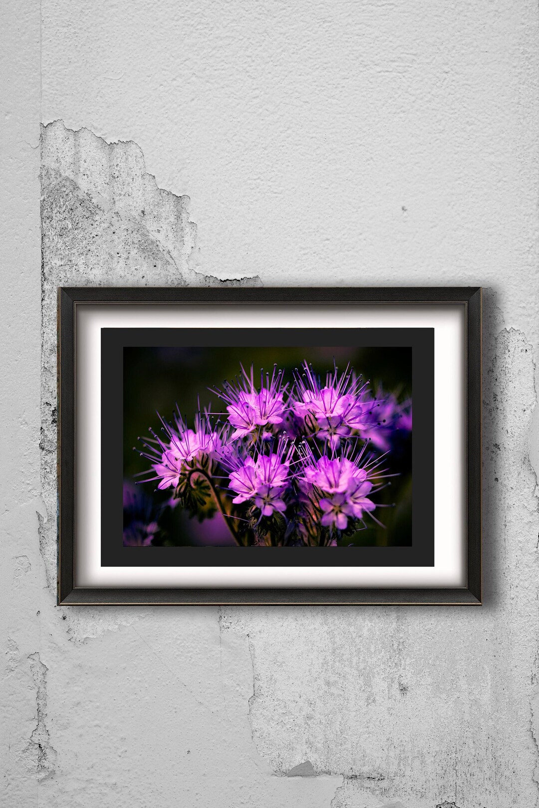 Beautiful Flower Print, Floral Petal Wall Art, Contemporary Photograph ...
