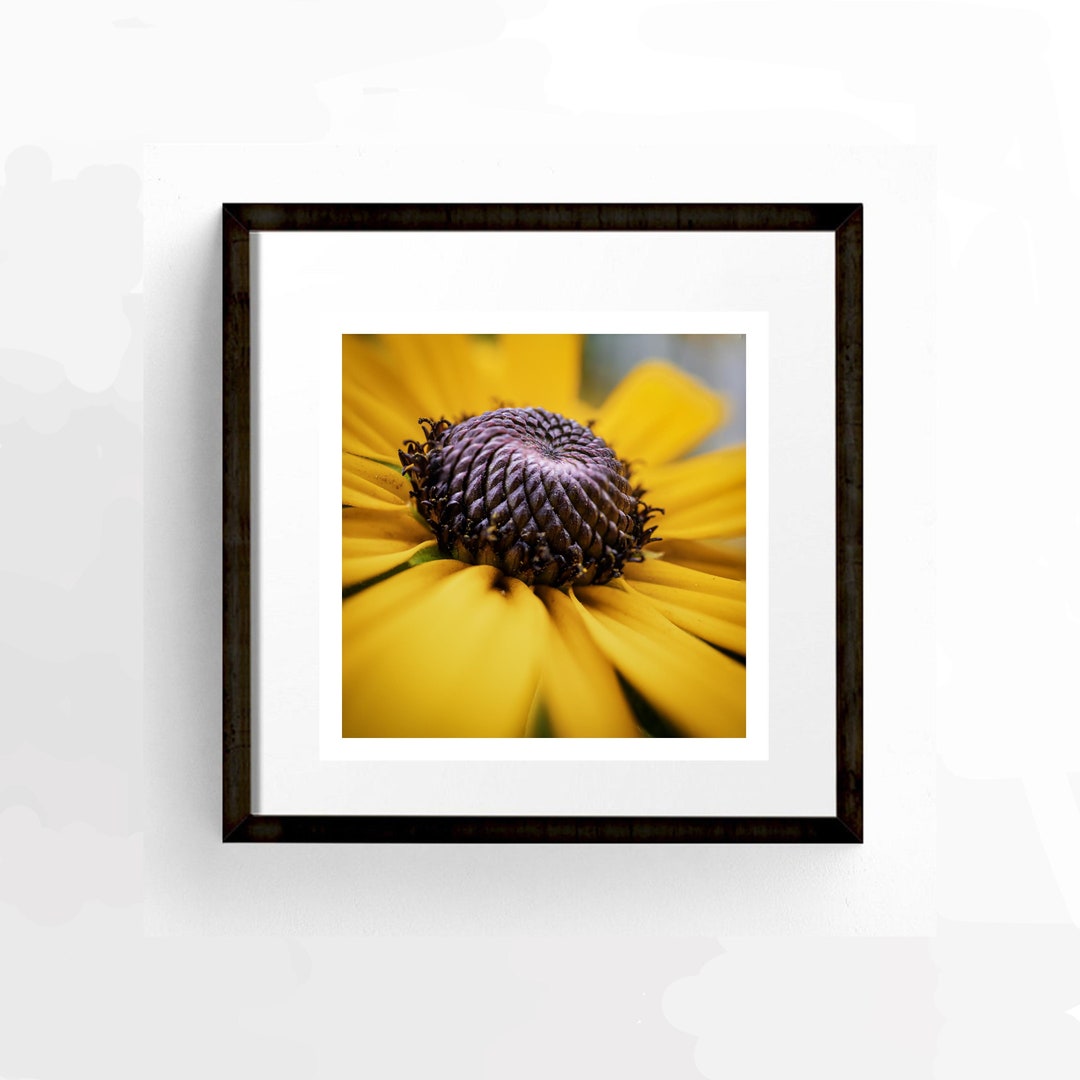 Beautiful Flower Print, Floral Petal Wall Art, Contemporary Photograph ...