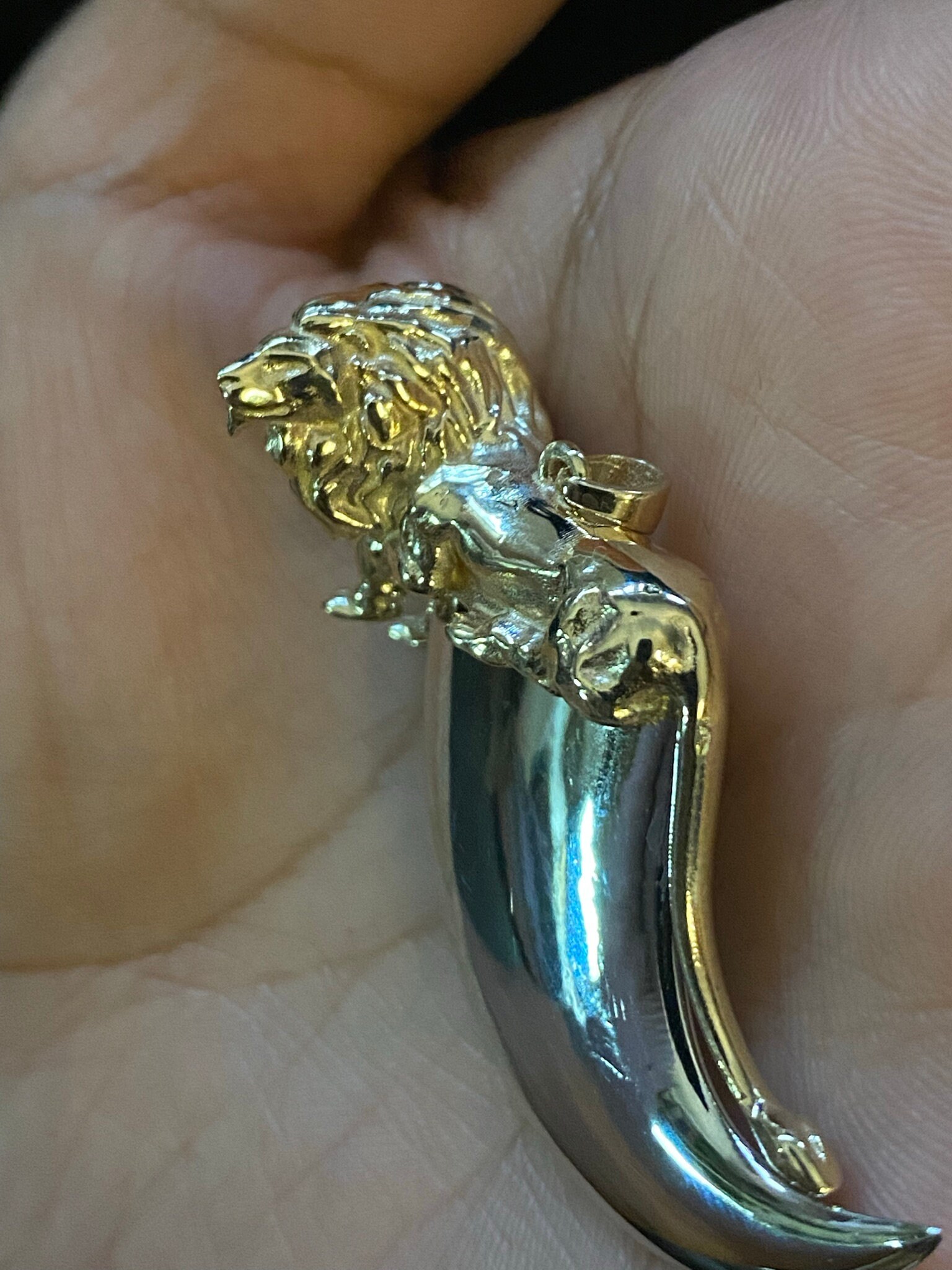 Lion Tooth for sale | Only 2 left at -75%