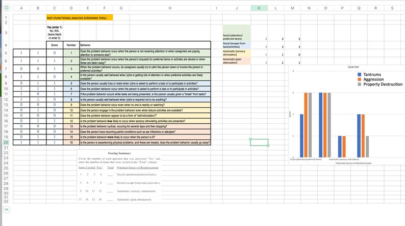 FAST (functional Assessment Screening Tool) Excel/numbers Spreadsheet ...