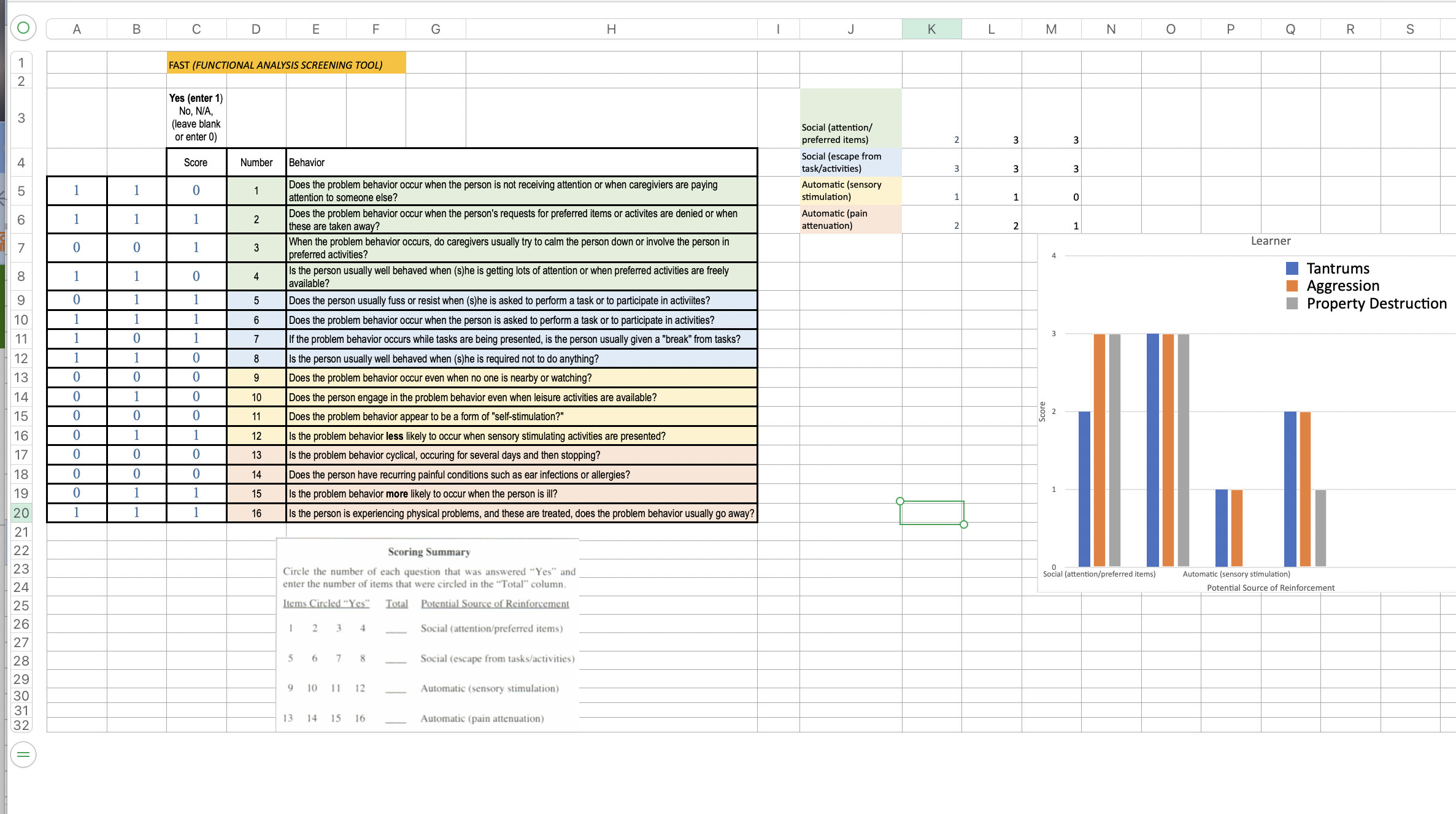 FAST (functional Assessment Screening Tool) Excel/numbers Spreadsheet ...
