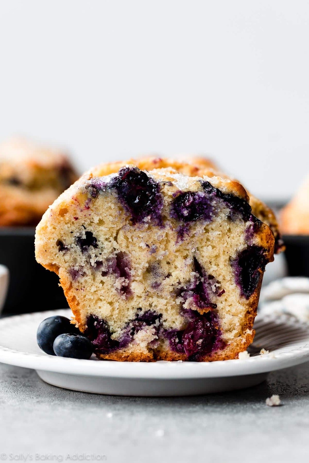 Blueberry Muffins | Homemade Muffin Pack | for Winter, Hibernate ...