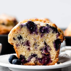 Blueberry Muffins | Homemade Muffin Pack | for Winter, Hibernate ...