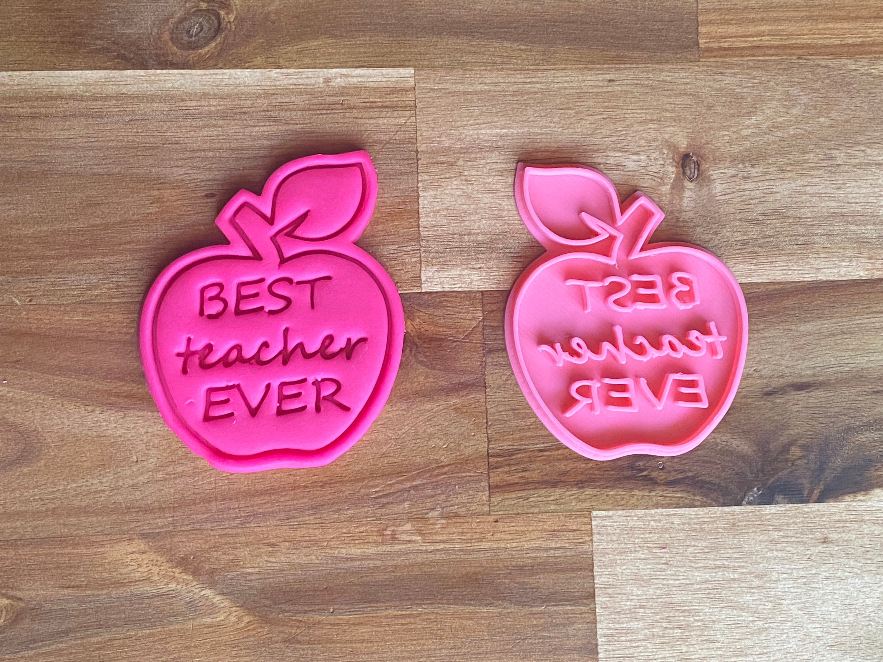 Best Teacher Ever Apple Student Teacher Educator Gift - Etsy Australia
