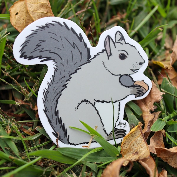 Black Squirrel Sticker - Etsy