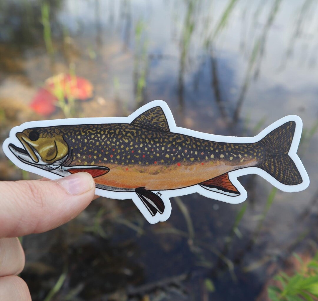 Brook Trout Sticker - Etsy