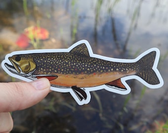 Brook Trout Fish Sticker Waterproof Vinyl Sticker - Etsy