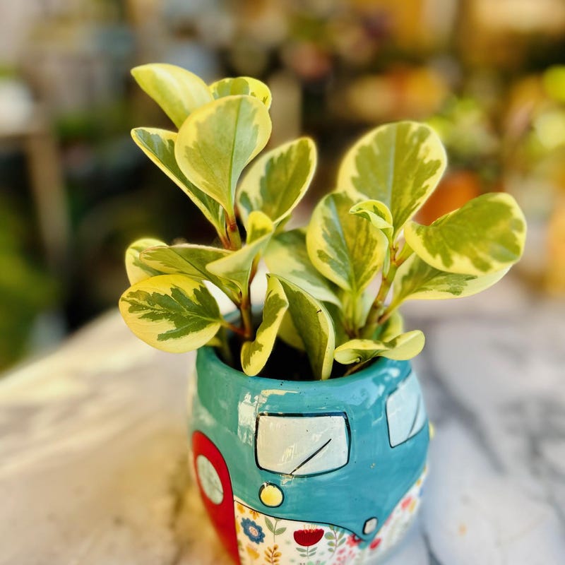 Retro Camper Planter - Etsy