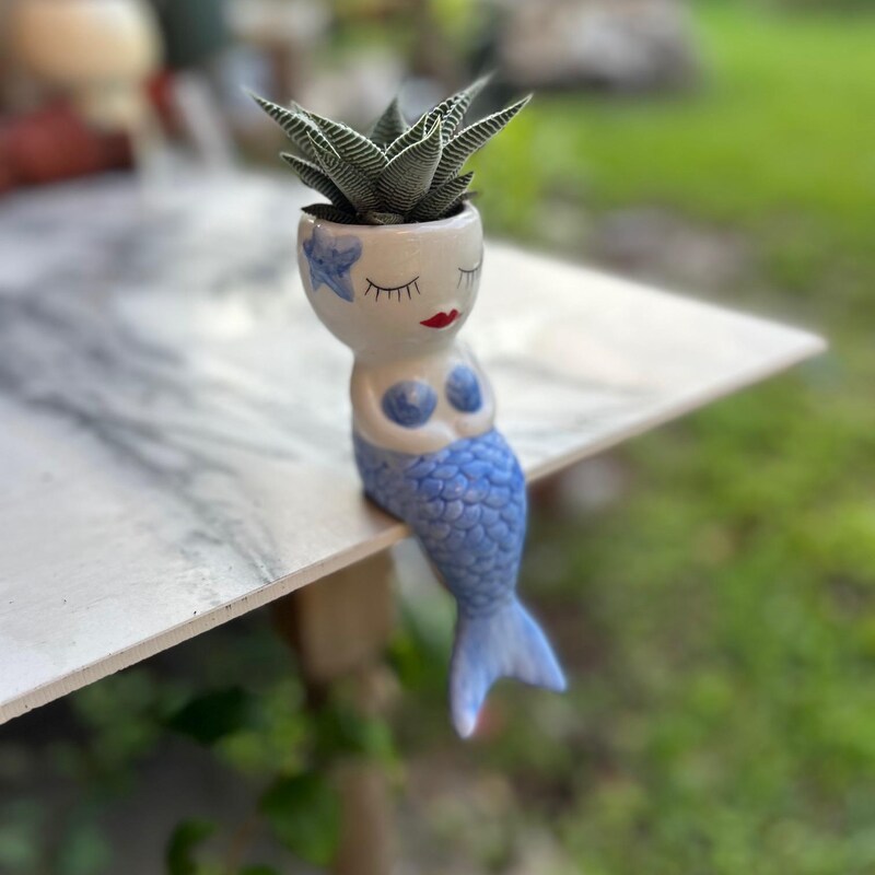 Mermaid Succulent Planter - Etsy