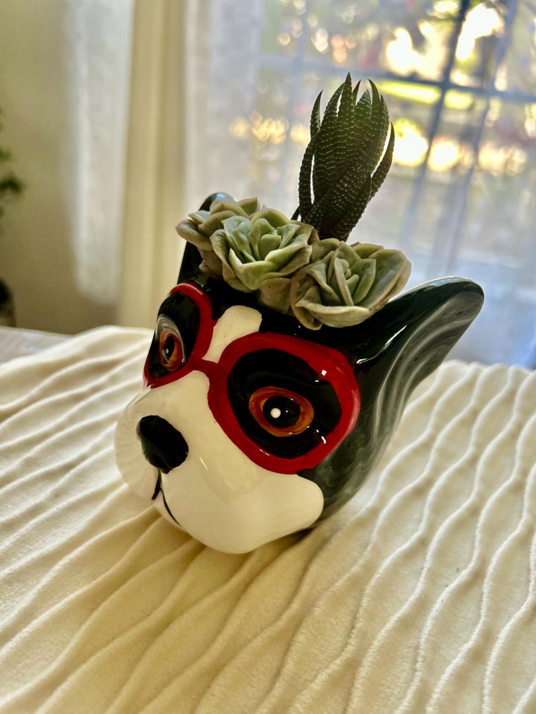 Dog Planter With Succulents - Etsy