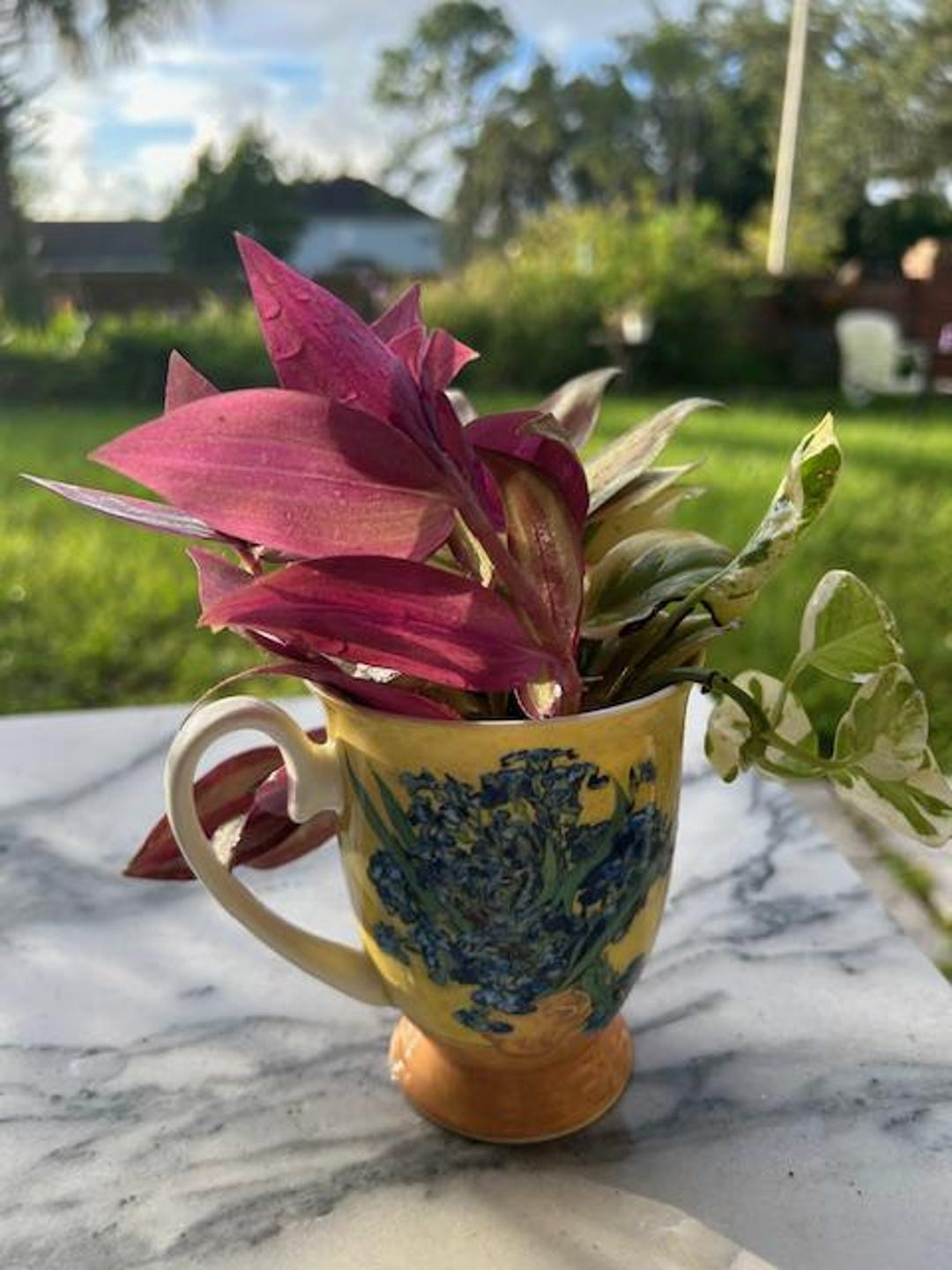 Vangogh Design Planter Mug With Plant Arrangement - Etsy