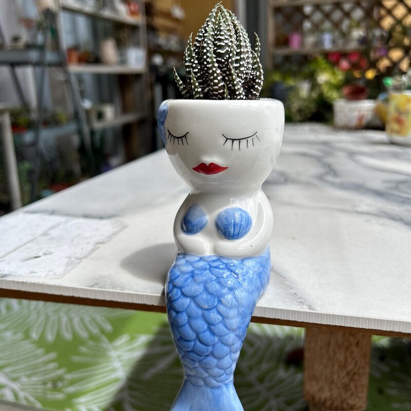 Blue and White Planter - Etsy