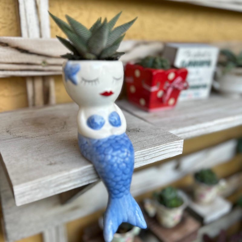 Angel Mermaid Planter for Succulents - Etsy