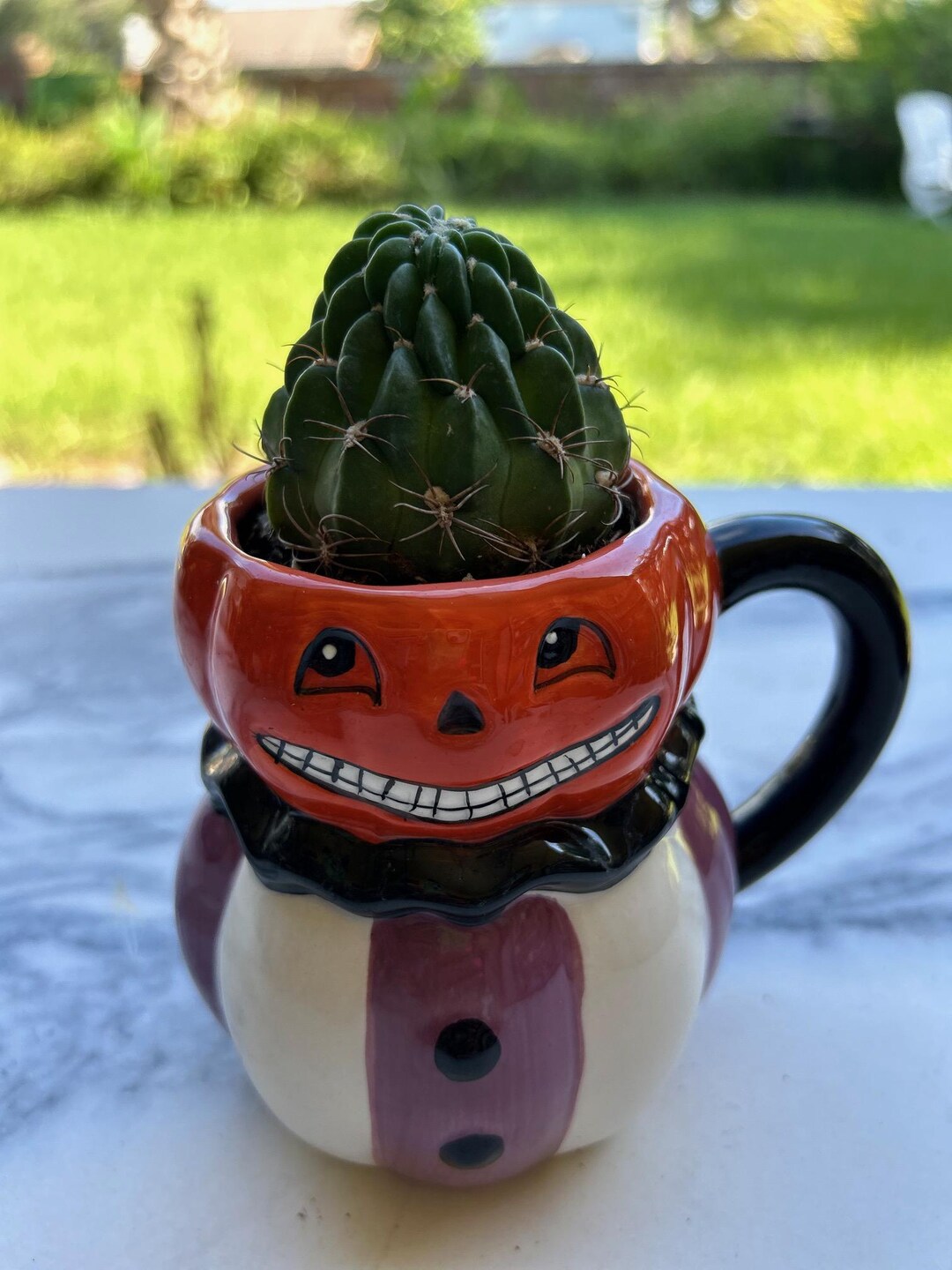 Fall Planter Mug With a Rare Cactus - Etsy