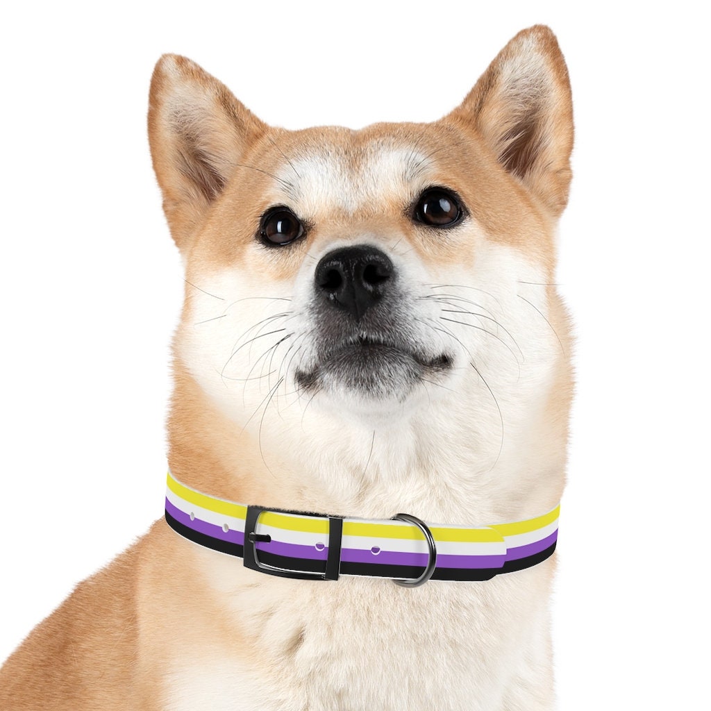 Non-binary Pride Flag Dog Collar - Etsy