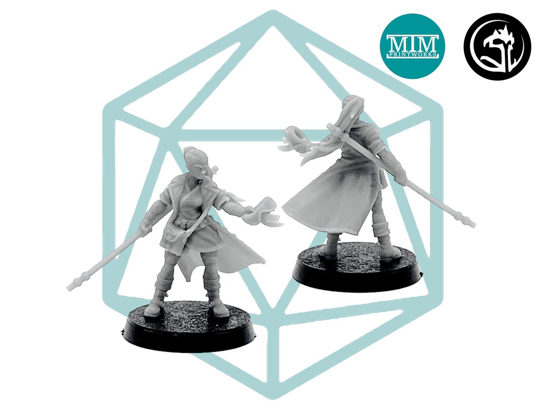 Human Pirate Monk | Tabletop RPG Miniature | D&D | Roleplaying - Etsy