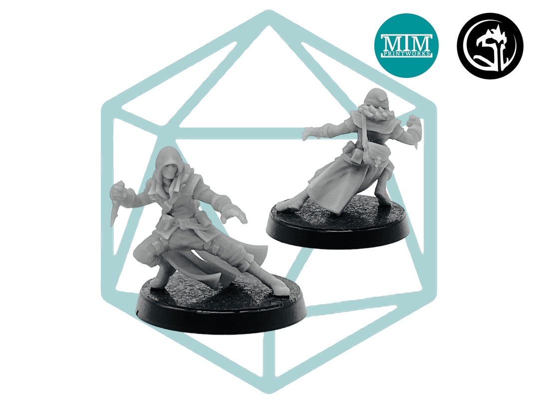 Human Assassin 2 | Tabletop RPG Miniature | D&D | Roleplaying - Etsy