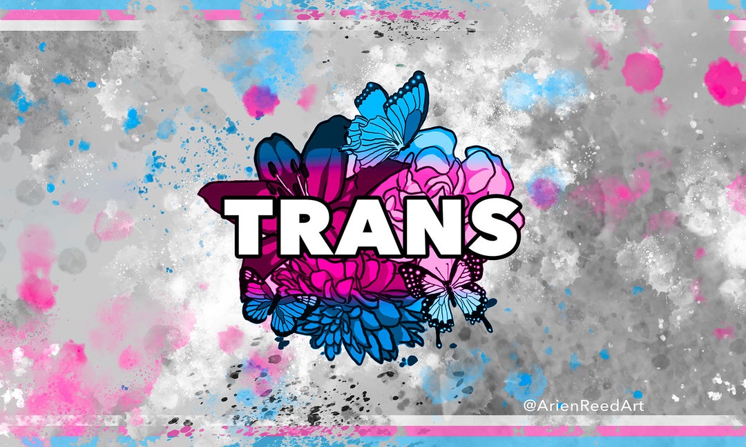 Trans Pride Flag | 3x5 Feet With 2 Hanging Grommets | Featuring Drawing ...