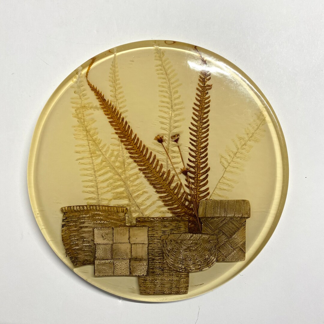 Vintage Dried Fern Leaf Lucite Trivet With Dried Leaves Large Brown ...