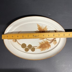 Vintage Denby Langley COTSWOLD Serving Platter Brown and Beige Pottery ...