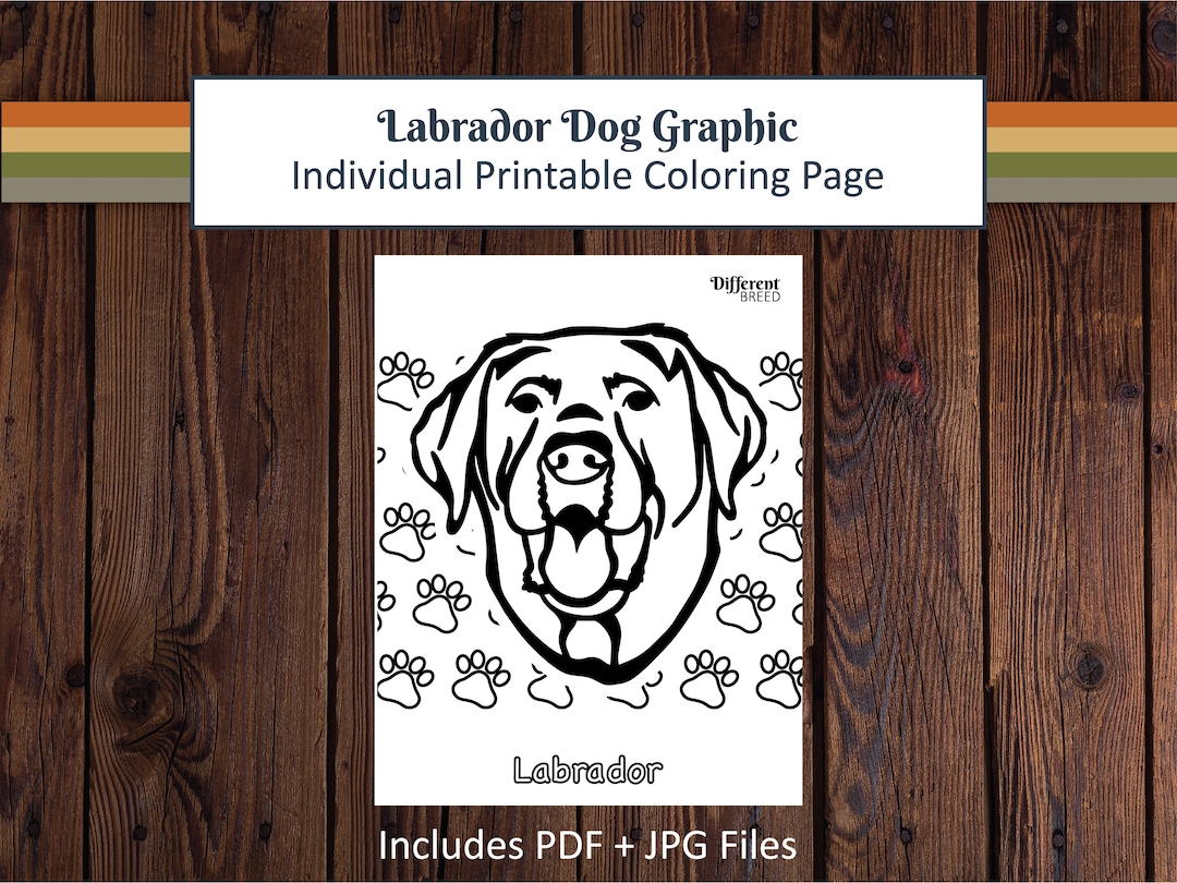 Printable Coloring Page Coloring Page Dog Coloring Page Labrador Dog ...