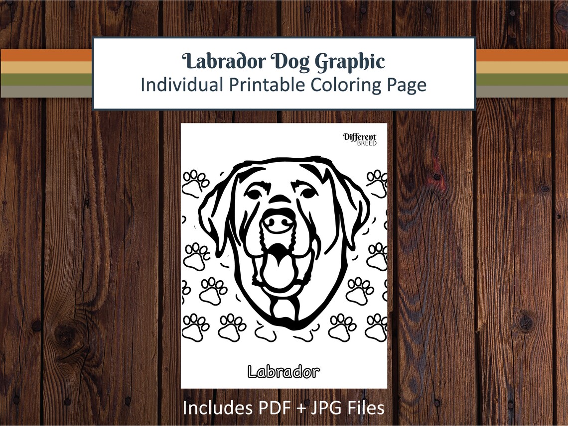 Printable Coloring Page Coloring Page Dog Coloring Page Labrador Dog ...