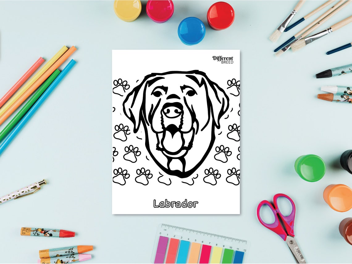 Printable Coloring Page Coloring Page Dog Coloring Page Labrador Dog ...