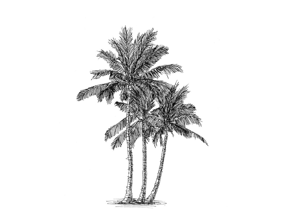 Palm Trees Hand Drawn Art Print - Etsy