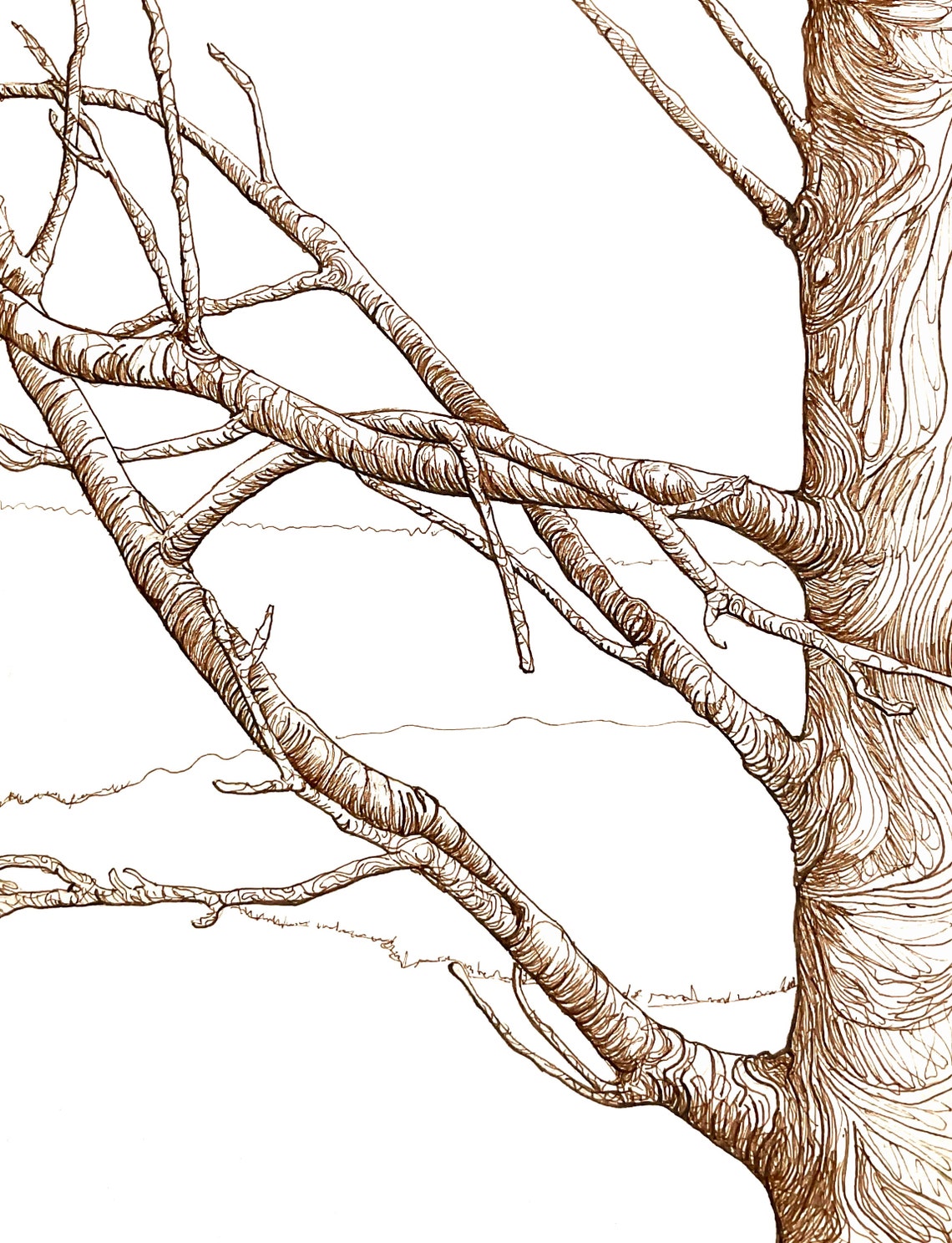 Tree Branches Fine Art Print - Etsy