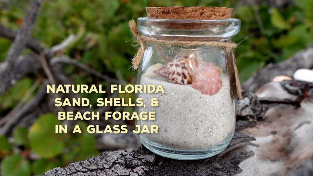 Natural Sand & Shells in a Glass Jar- Sand and Shells From Florida in a ...