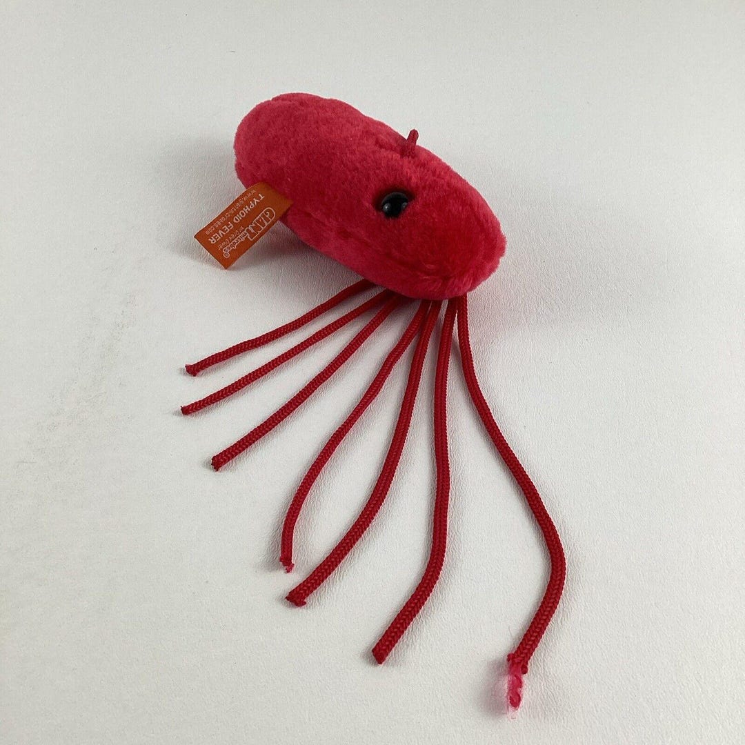 Giant Microbes Health Typhoid Fever Science 6" Plush Stuffed Virus ...