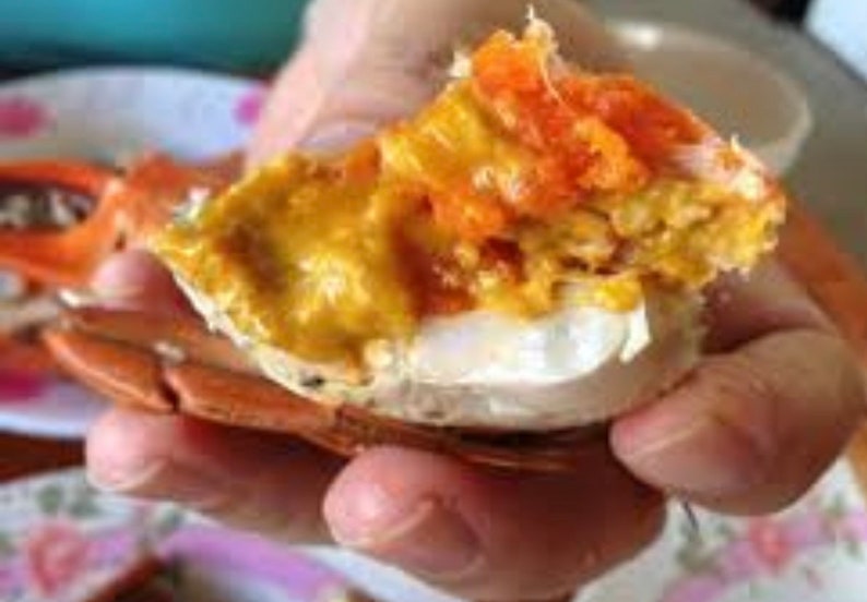 Mitch’s Taba Ng Alimango (pure Crab Paste) - Etsy