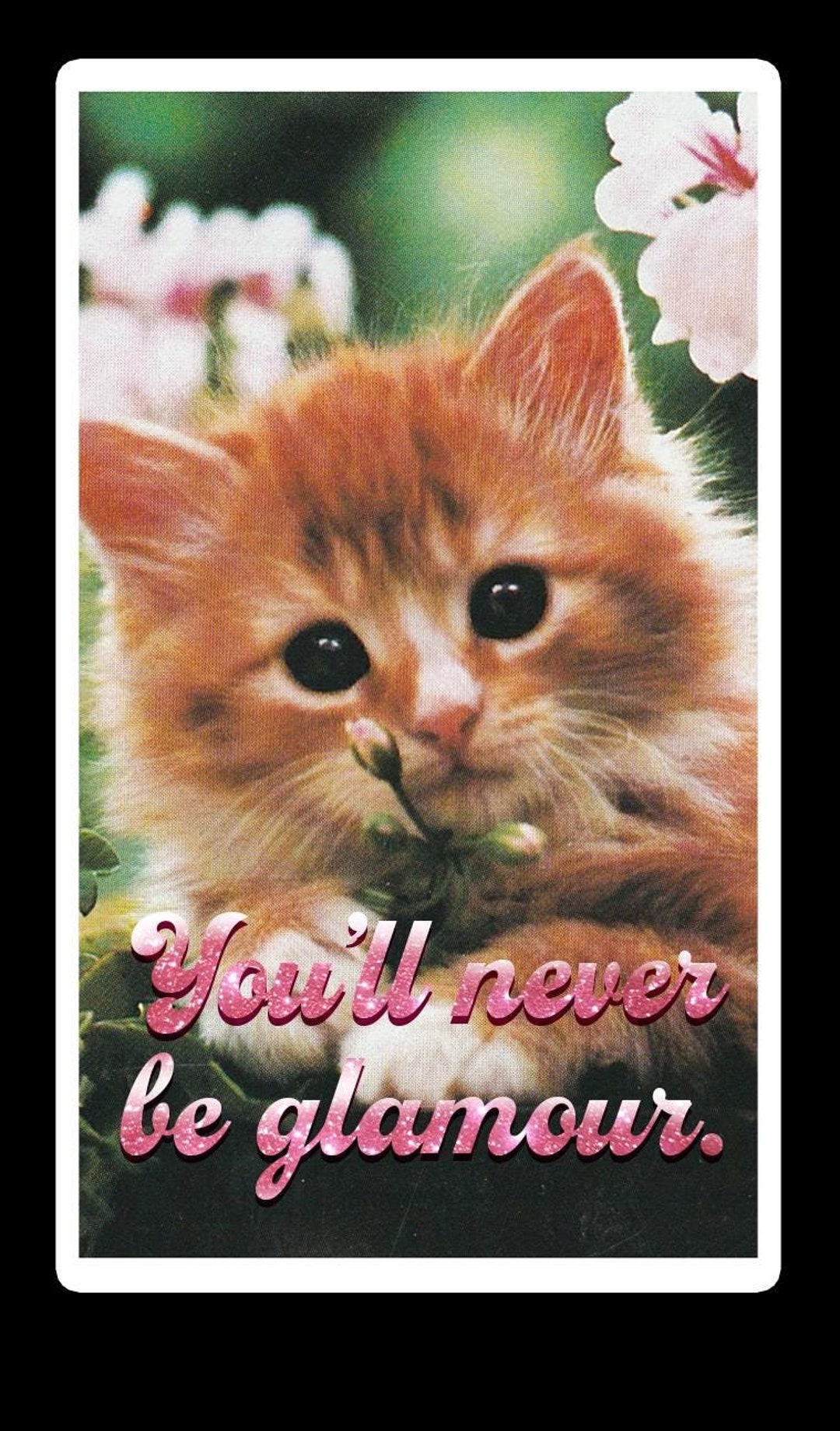 Shangela Rupaul's Drag Race Quote Vinyl Laptop Sticker you'll Never Be ...