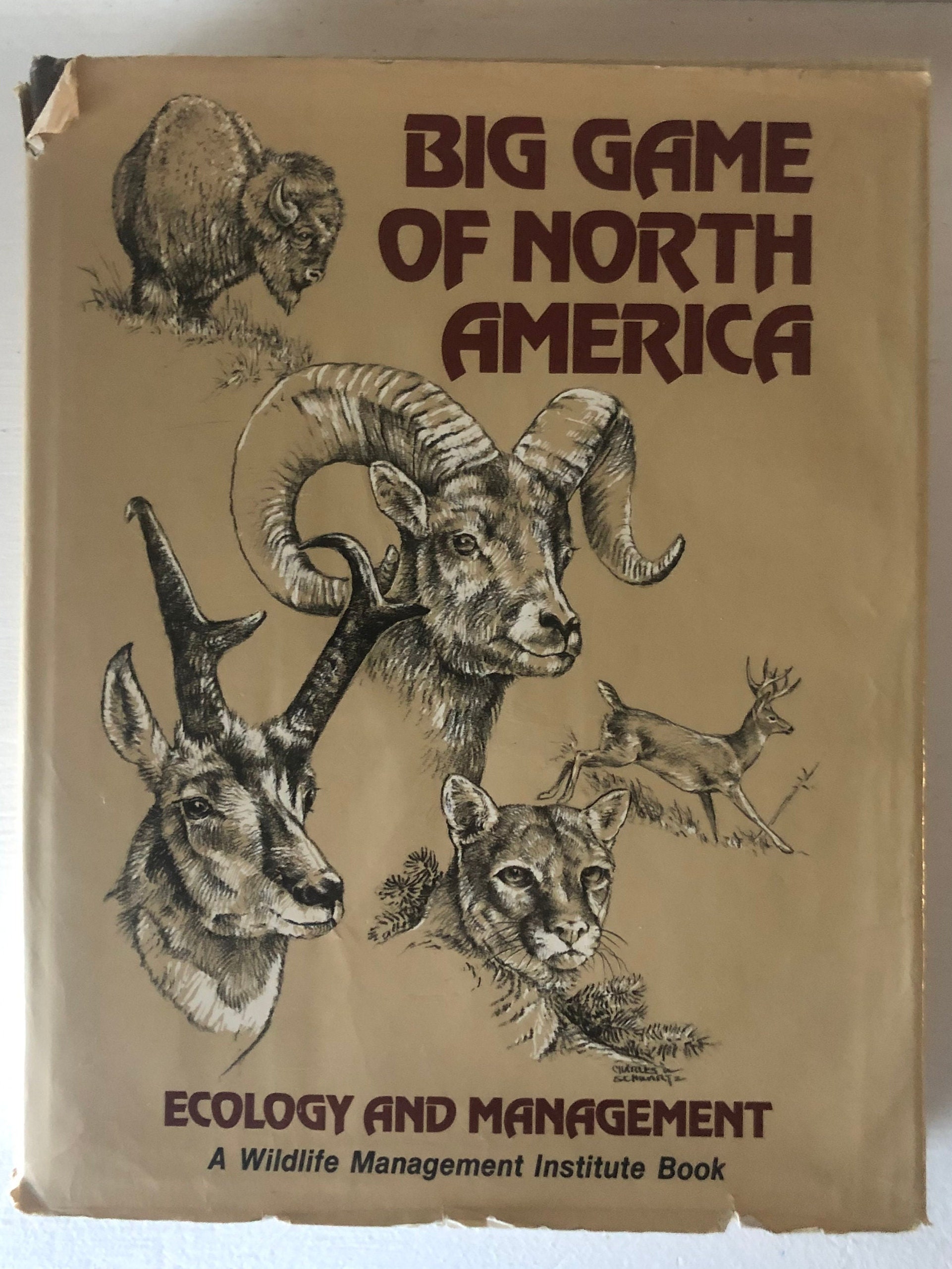 Vintage Science Textbooks Books From 1970s-1980s Vintage - Etsy