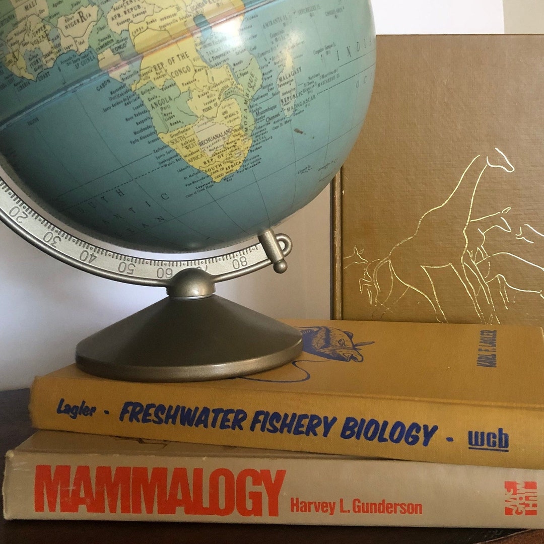 Vintage Science Textbooks Books From 1960s-70s Vintage Education ...