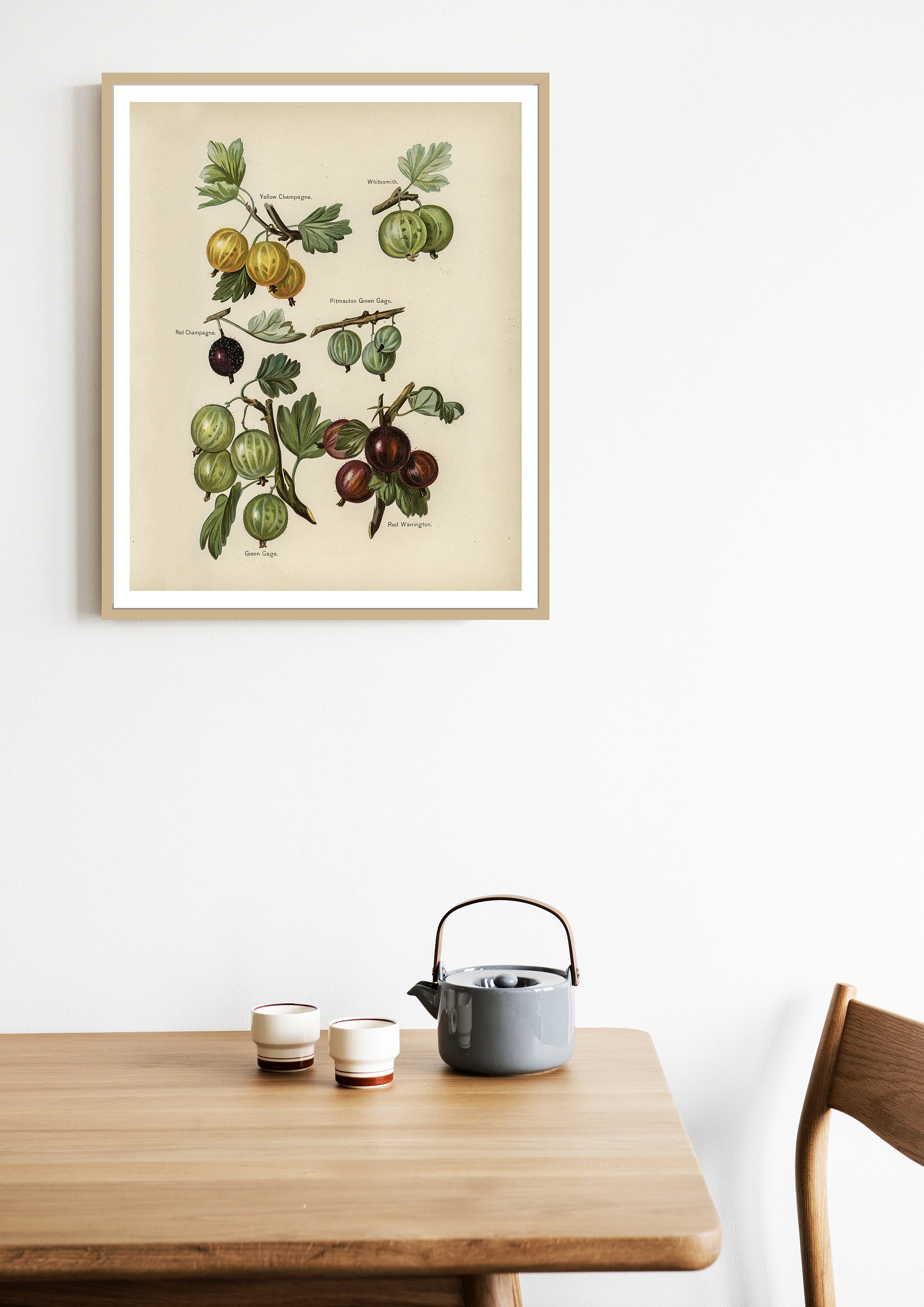 Gooseberry Varieties Set Vintage Patented Botanical Poster Print ...