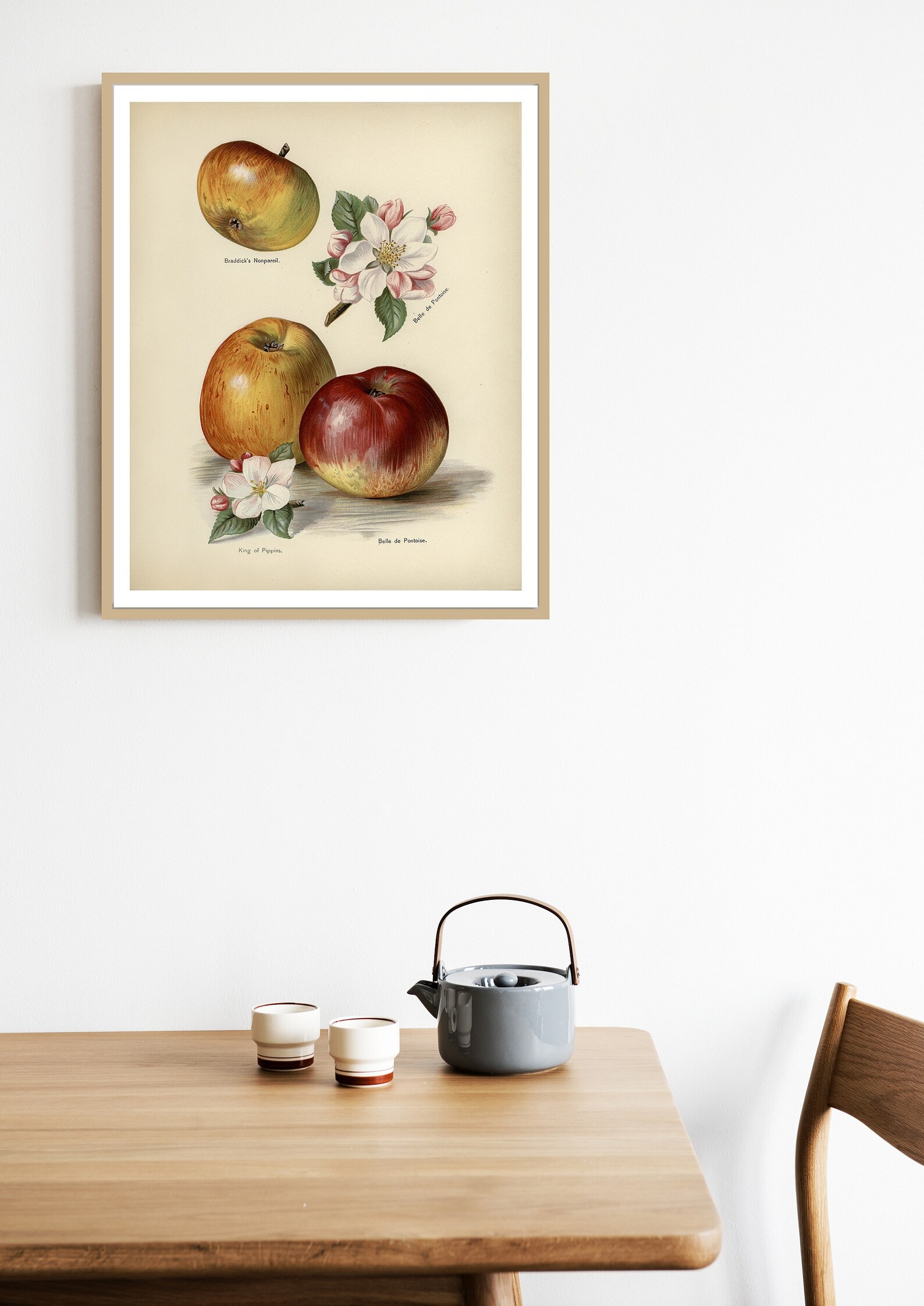 Apples Varieties Set Vintage Patented Botanical Poster Print ...