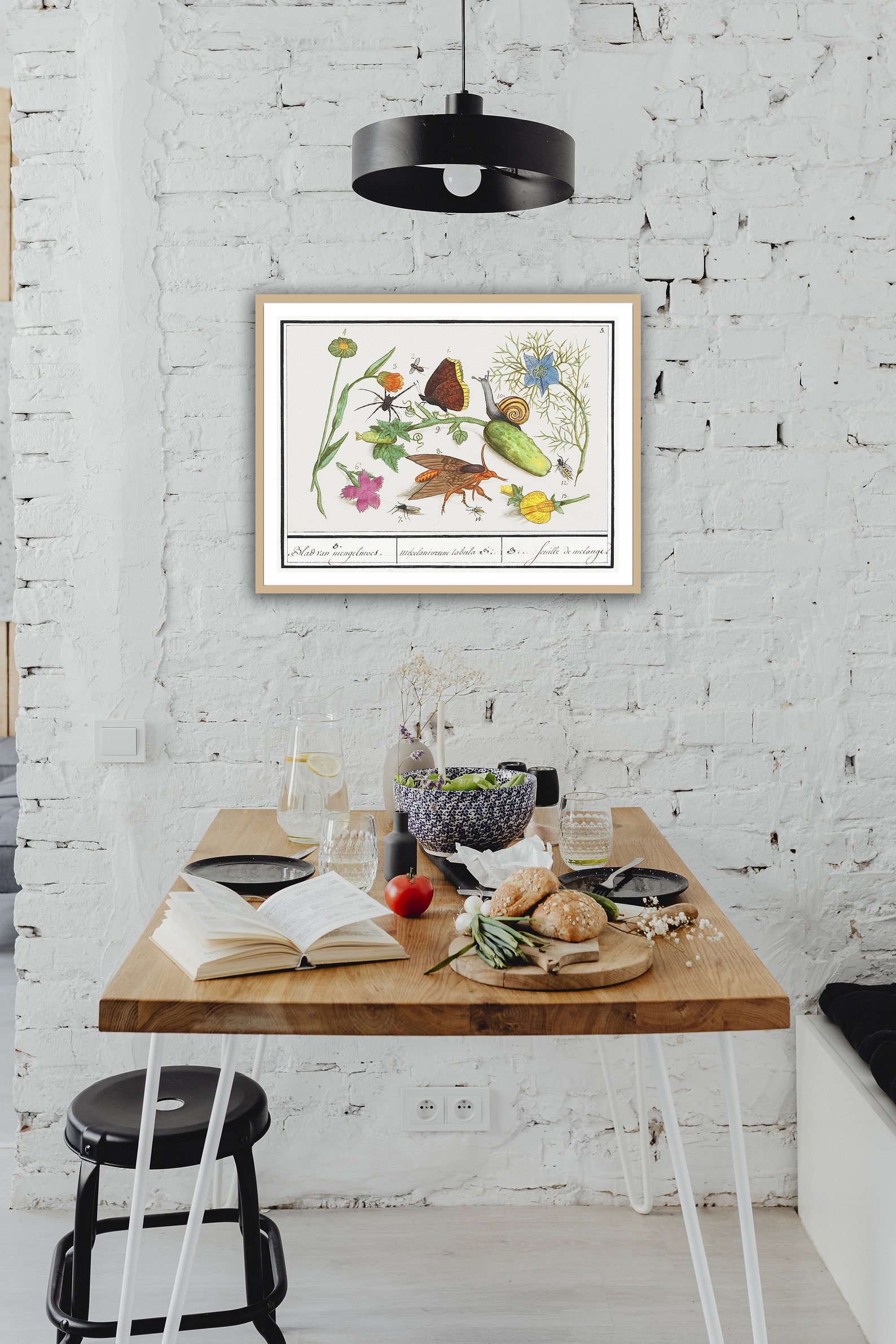 Vintage Illustration Set Poster Still Life Print of Fruits and - Etsy